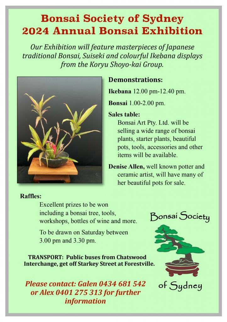 BSS Annual Exhibition 2024: Bonsai and Ikebana Displays, Demonstrations ...
